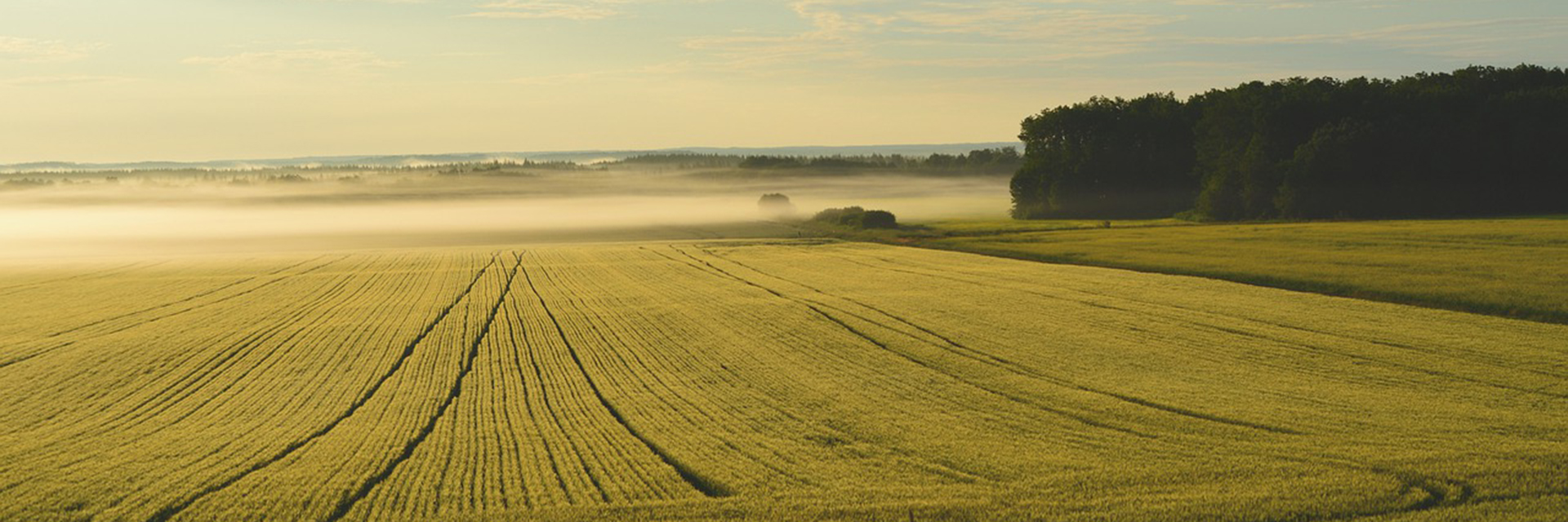 La conservation du sol - IRDA